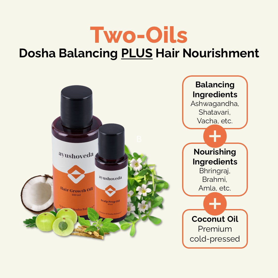 Basic Hair Care Kit | Two-Oils – Ayushoveda